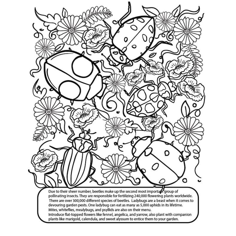 Garden Pollinators Coloring 8 Pages, Herb & Plant Coloring Page ...