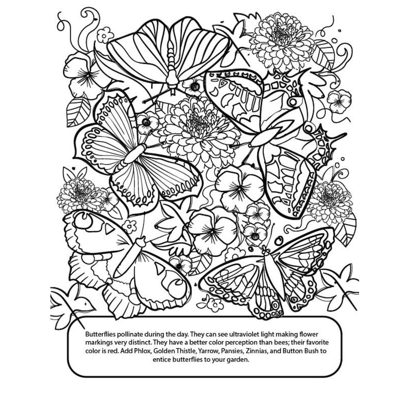 Garden Pollinators Coloring 8 Pages, Herb & Plant Coloring Page ...