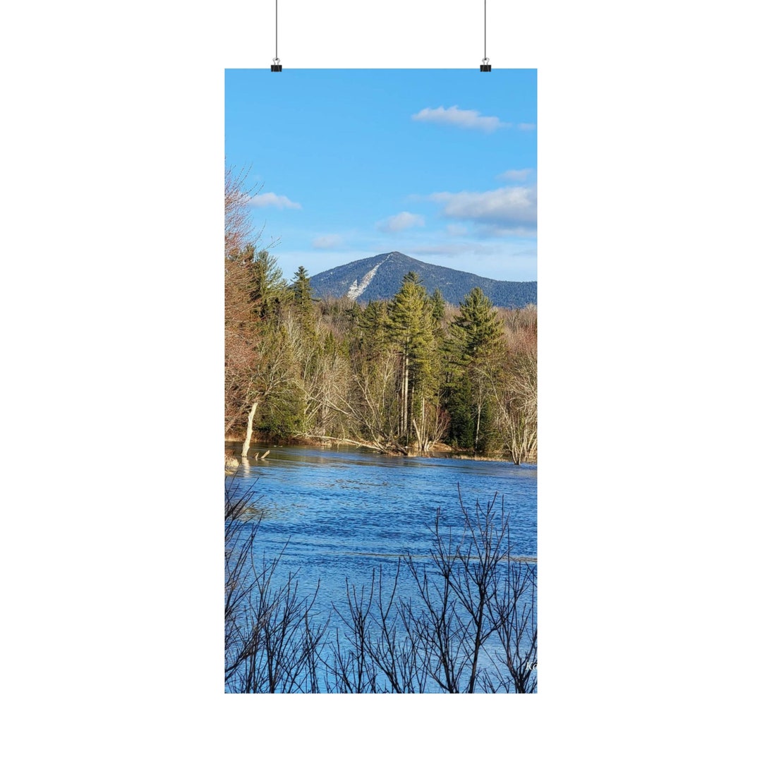 Matte Vertical Posters - Etsy