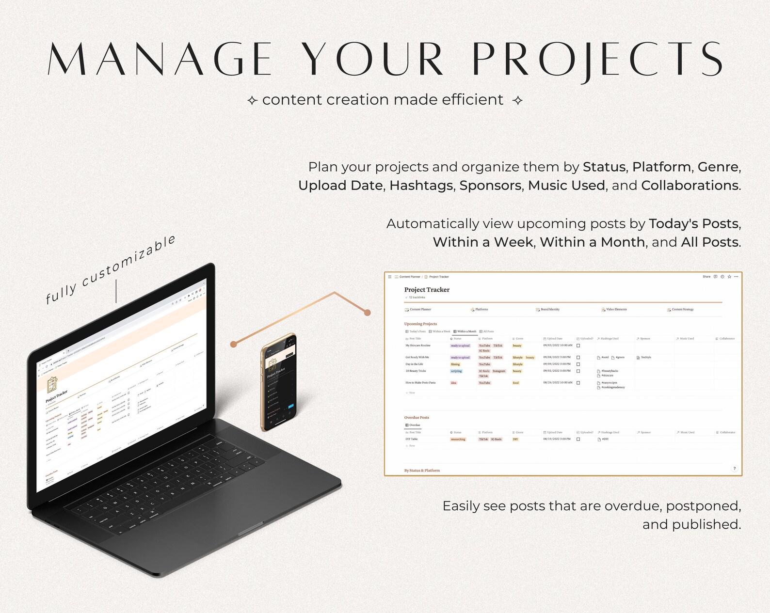 Content Creator Notion Template