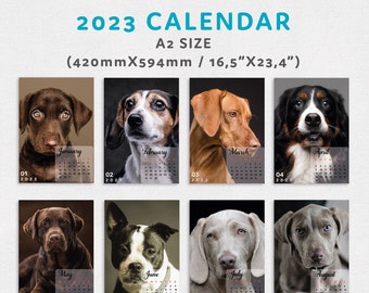 Dog 2023 Calendar - Etsy