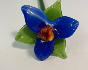 Long Stem Glass - Etsy