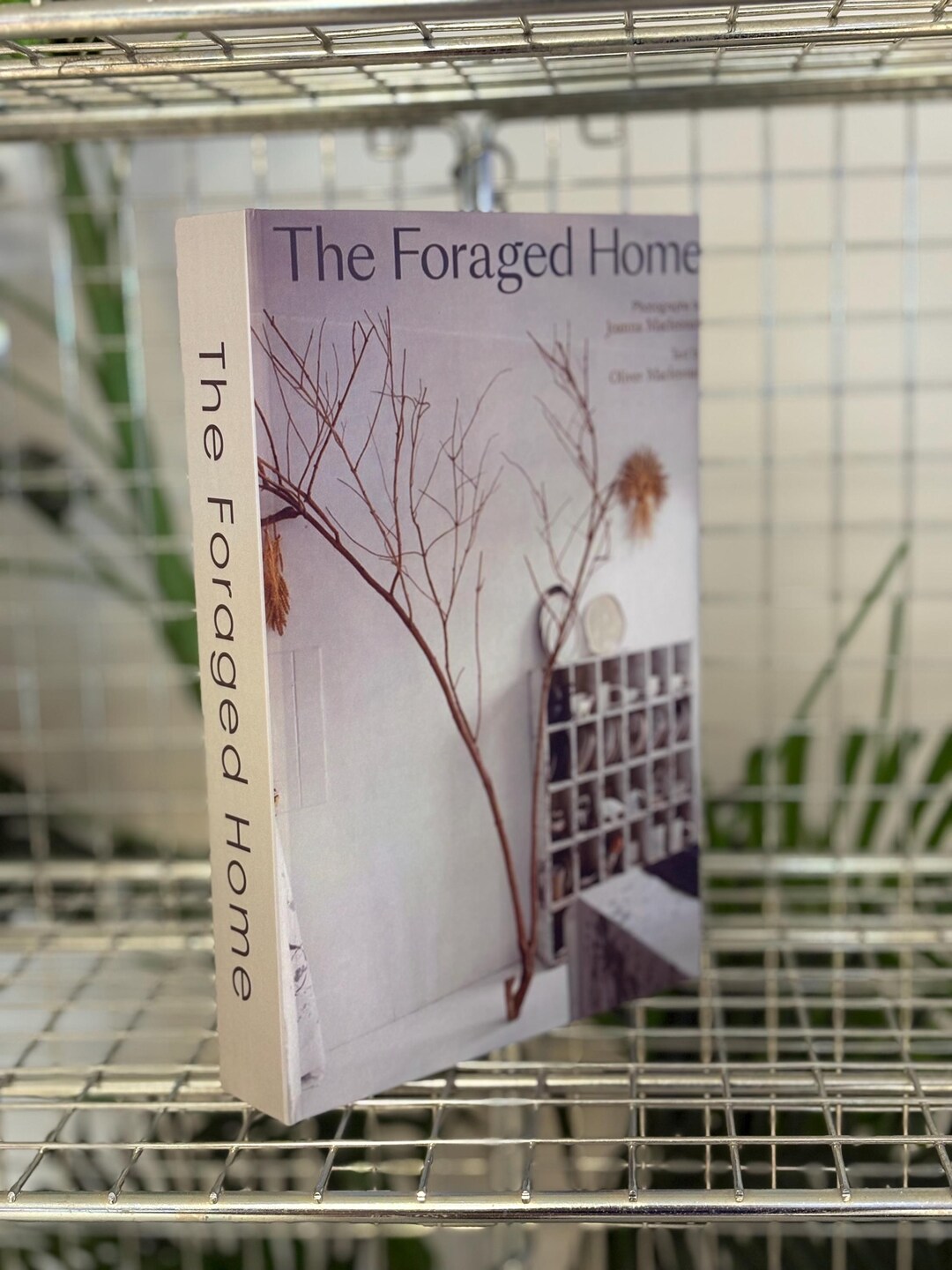 The Foraged Home Decorative Book Box, Natural Coffee Table Decor - Etsy