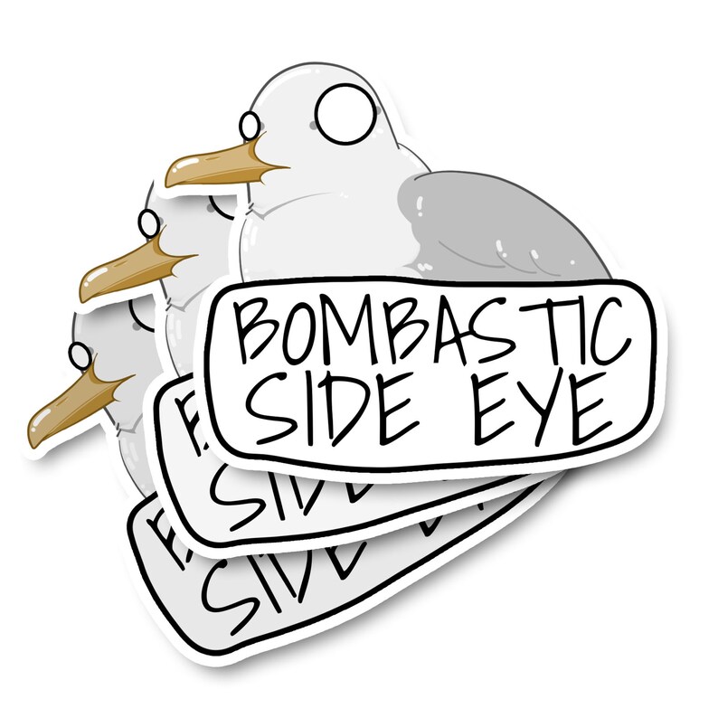 Seagull Steve BOMBASTIC SIDE EYE Vinyl Stickers - Etsy