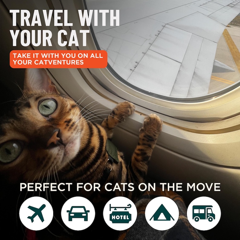 3-in-1 Portable Cat Litterbox Kit: Travel Litter Solution - Etsy