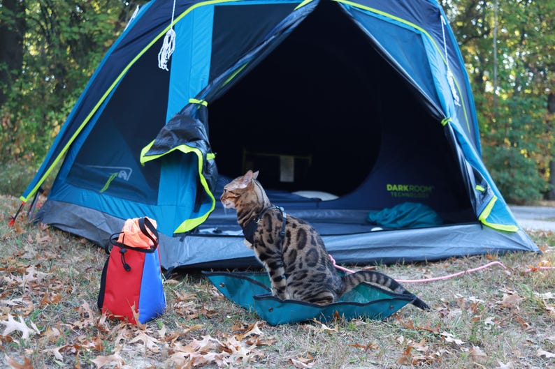 3-in-1 Portable Cat Litterbox Kit: Travel Litter Solution - Etsy