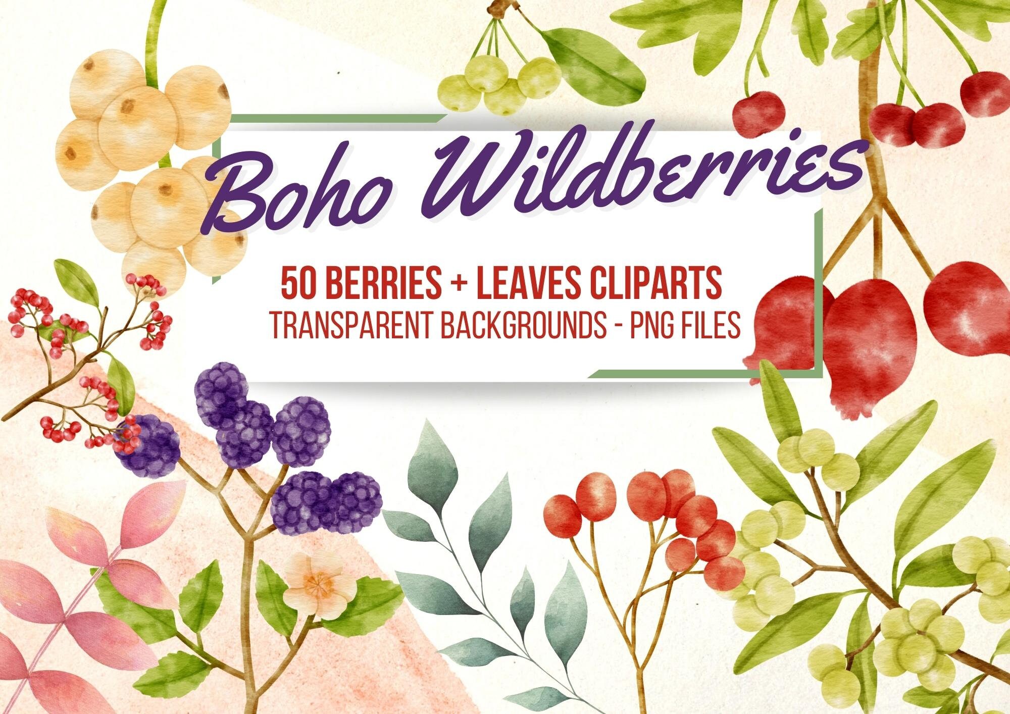 50 BOHO BERRIES Clipart Instant Download Wildberries - Etsy