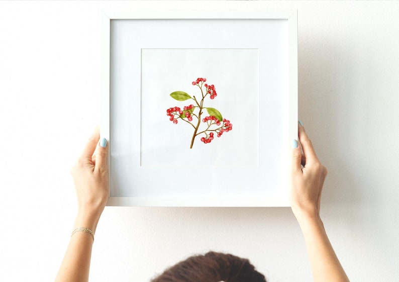 50 BOHO BERRIES Clipart Instant Download Wildberries - Etsy