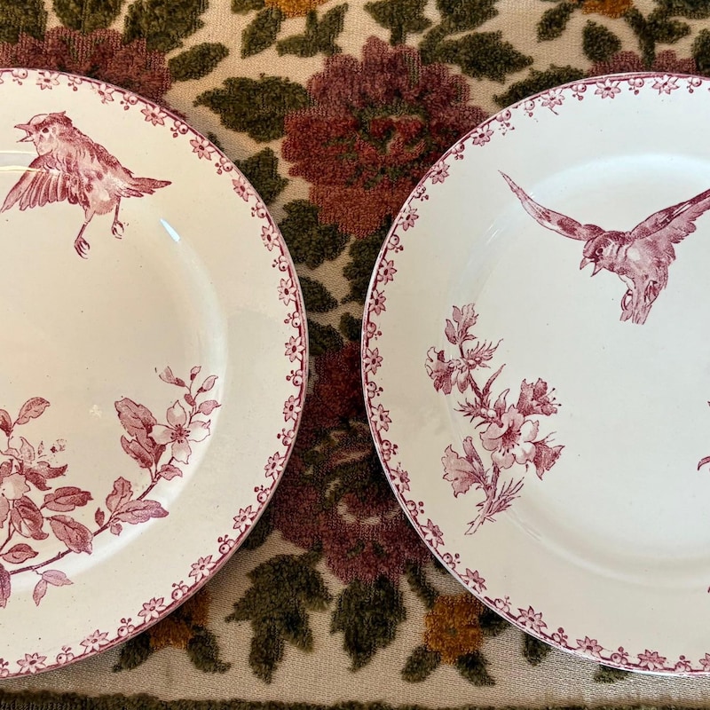 French Transferware - Etsy