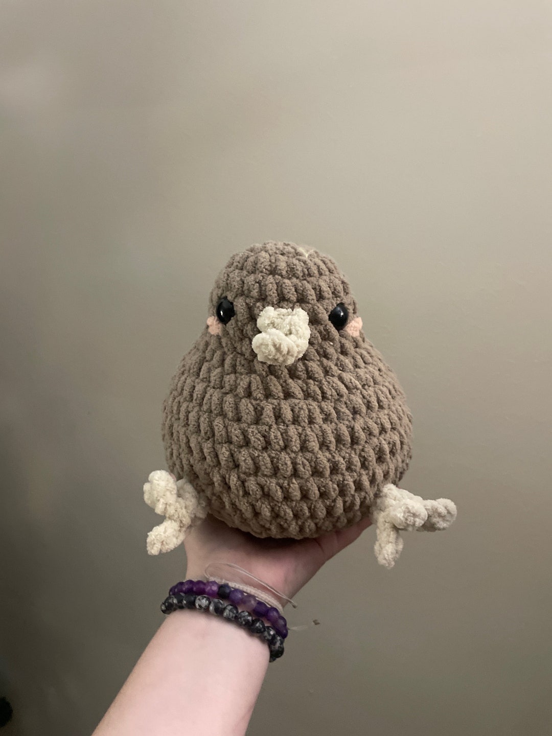 Kiwi Bird Crochet Plush, Handmade Crochet Plushie, Birds, Cute Kiwi ...