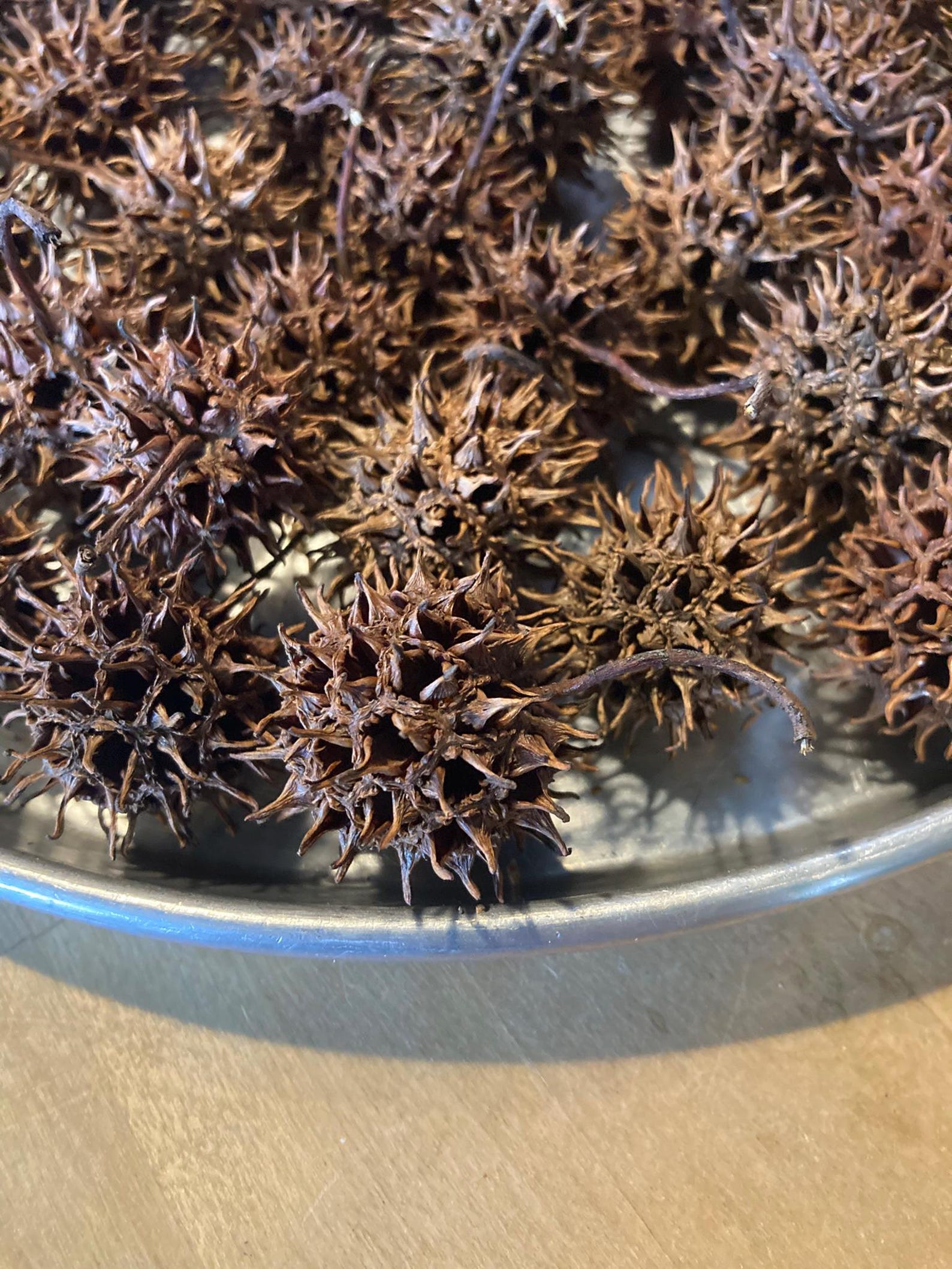 Sweet Gum Tree Balls - Crafts, Home Decor, Potpourri (60 Pieces) - Etsy