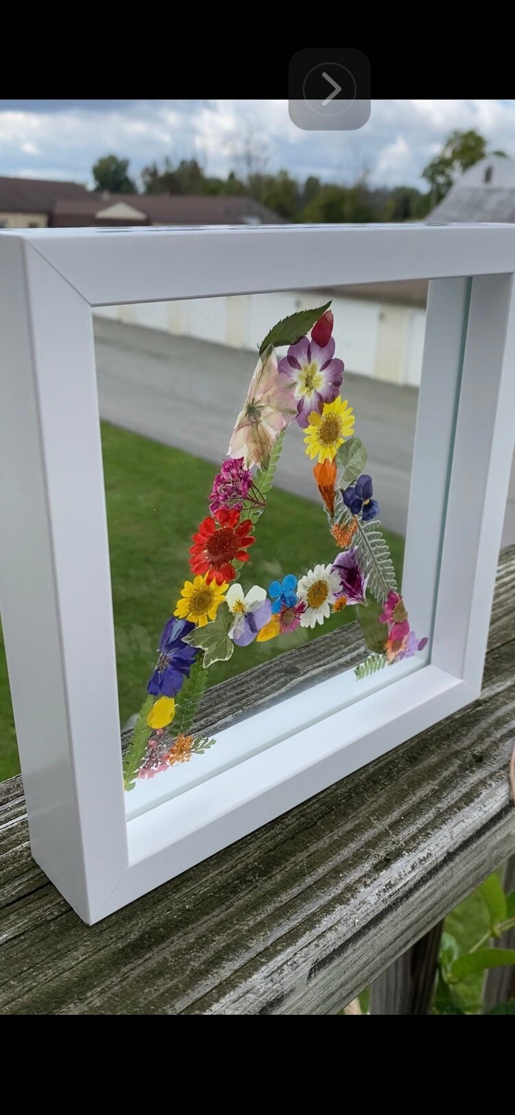 Pressed Flower Art Framed Letter & Names Your Color Scheme and Frame ...
