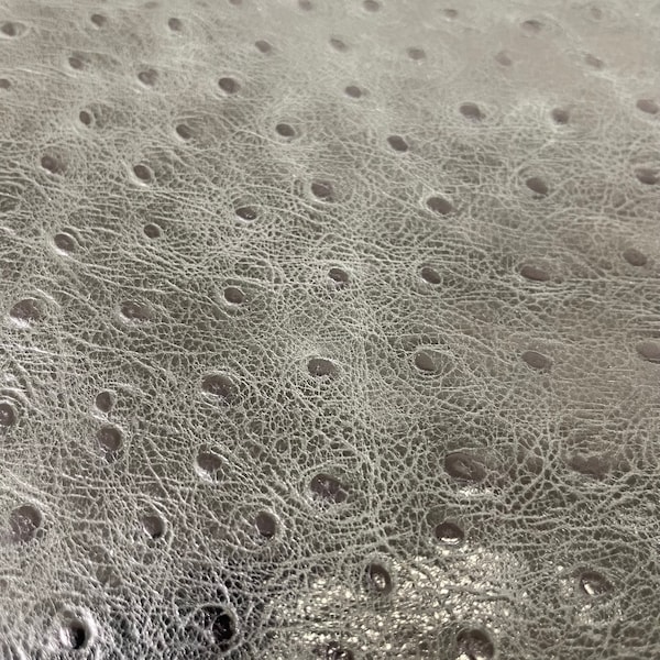 Genuine Ostrich - Etsy