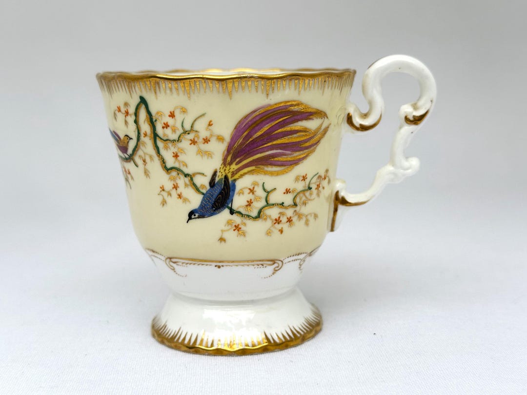 Antique Copeland and Garrett Hand-painted Footed Teacup, Exotic Birds ...
