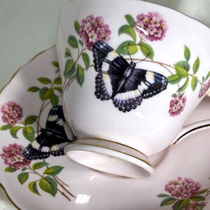 June Glory Cup and Saucer by Tuscan Teacup With Butterfly and Flowers ...