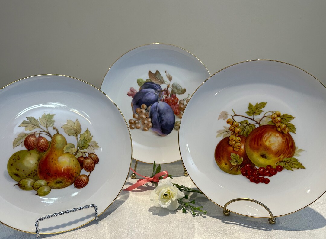 Winterling Roslau Plates W/ Fruit Patterns Vintage German Porcelain ...