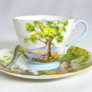 Shelley Cup & Saucer, Woodland Pattern #13348, Richmond Shape, Vintage ...