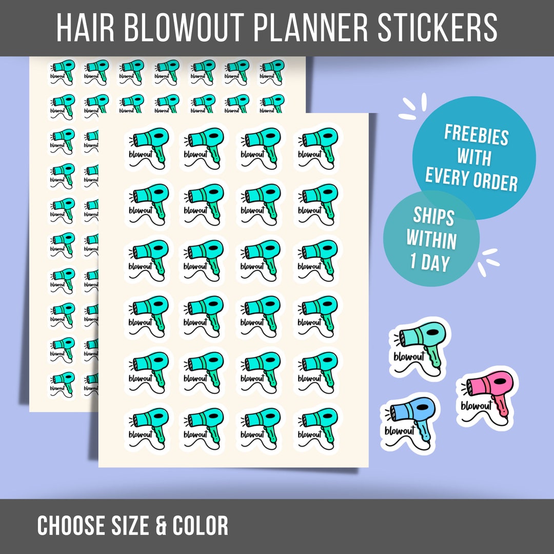 Hair Blowout Planner Sticker Hair Appointment Reminder Sticker Mini ...