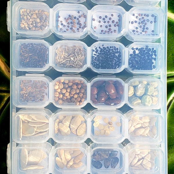Seed Storage Box - Etsy