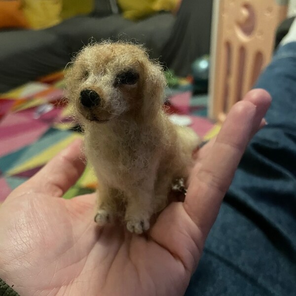 Needle Felt Pet - Etsy