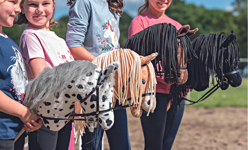 Hobby Horse Hobby Horse Toy Horse With Mane Decoration, Bridle, Reins ...