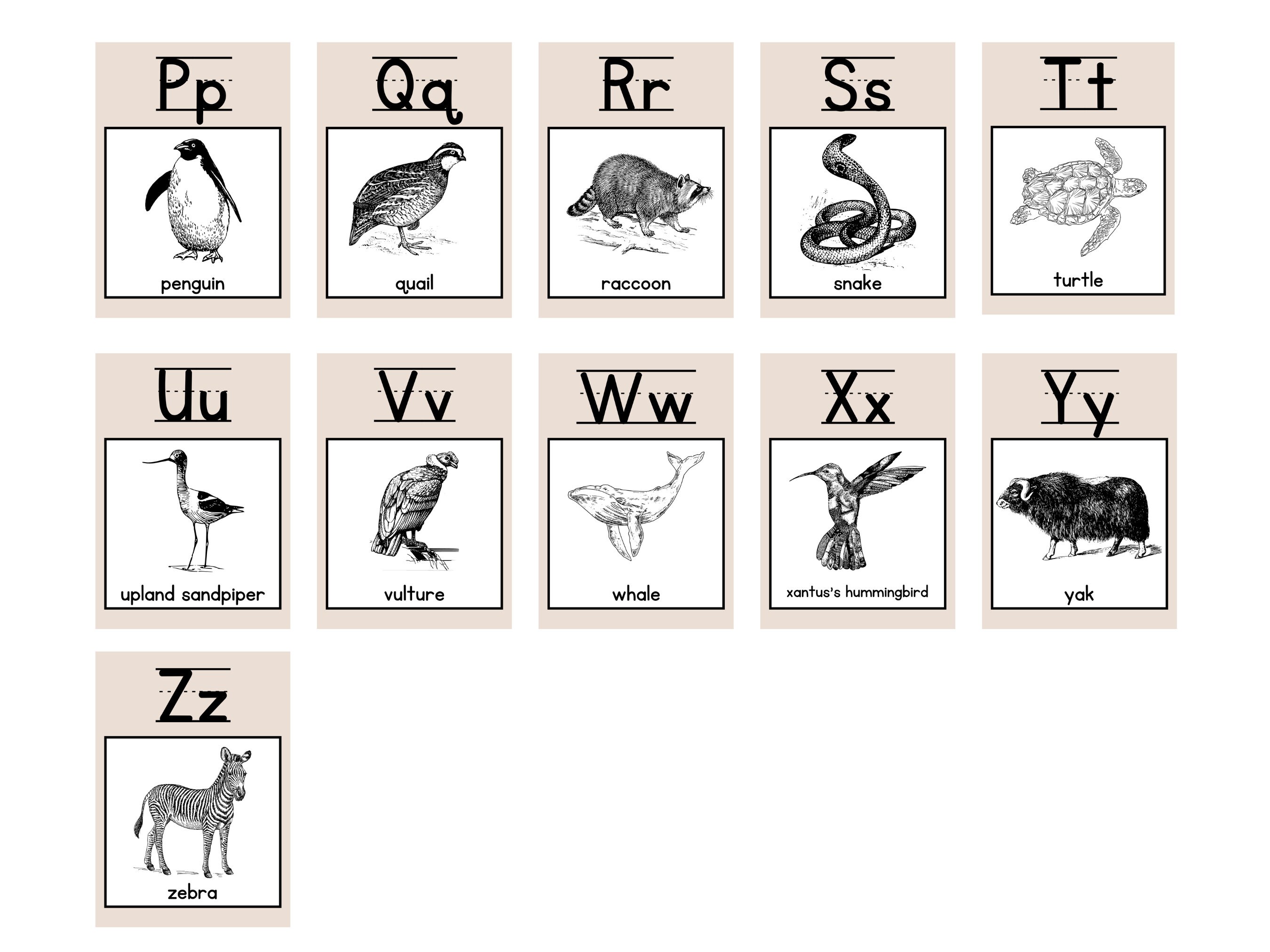 Animal Alphabet Posters Neutral Classroom Decor Calming Classroom Early ...