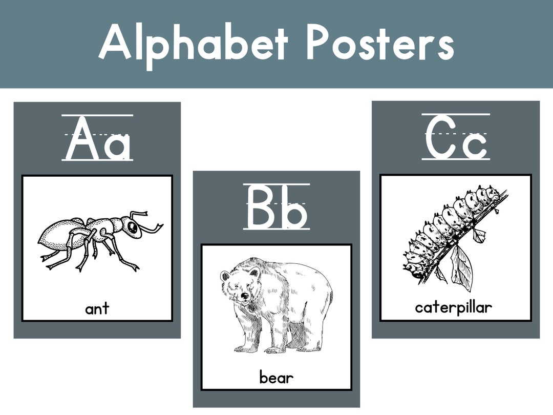 Alphabet Posters | Animal Alphabet | Classroom Posters | Classroom ...