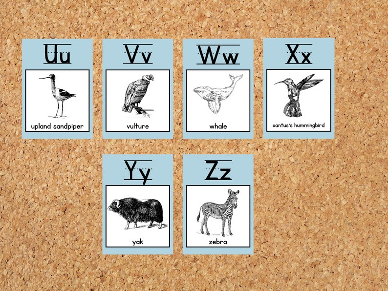 Animal Alphabet Posters | Pastel Colours | Rainbow Colours | Classroom ...