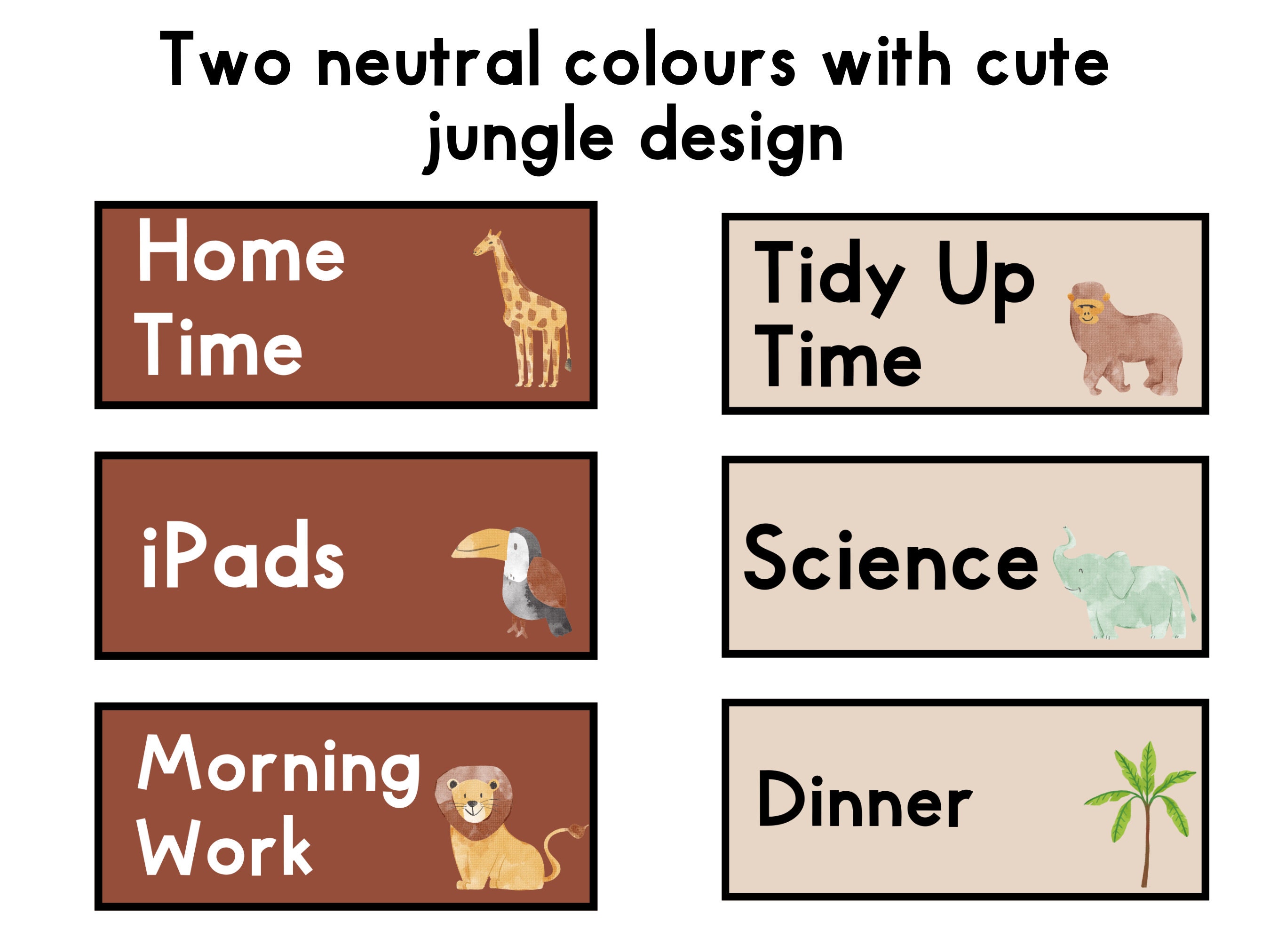 Visual Timetable EDITABLE | Schedule Cards | Neutral Classroom ...