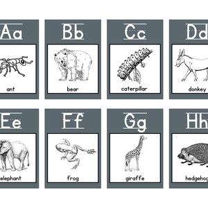 Alphabet Posters | Animal Alphabet | Classroom Posters | Classroom ...