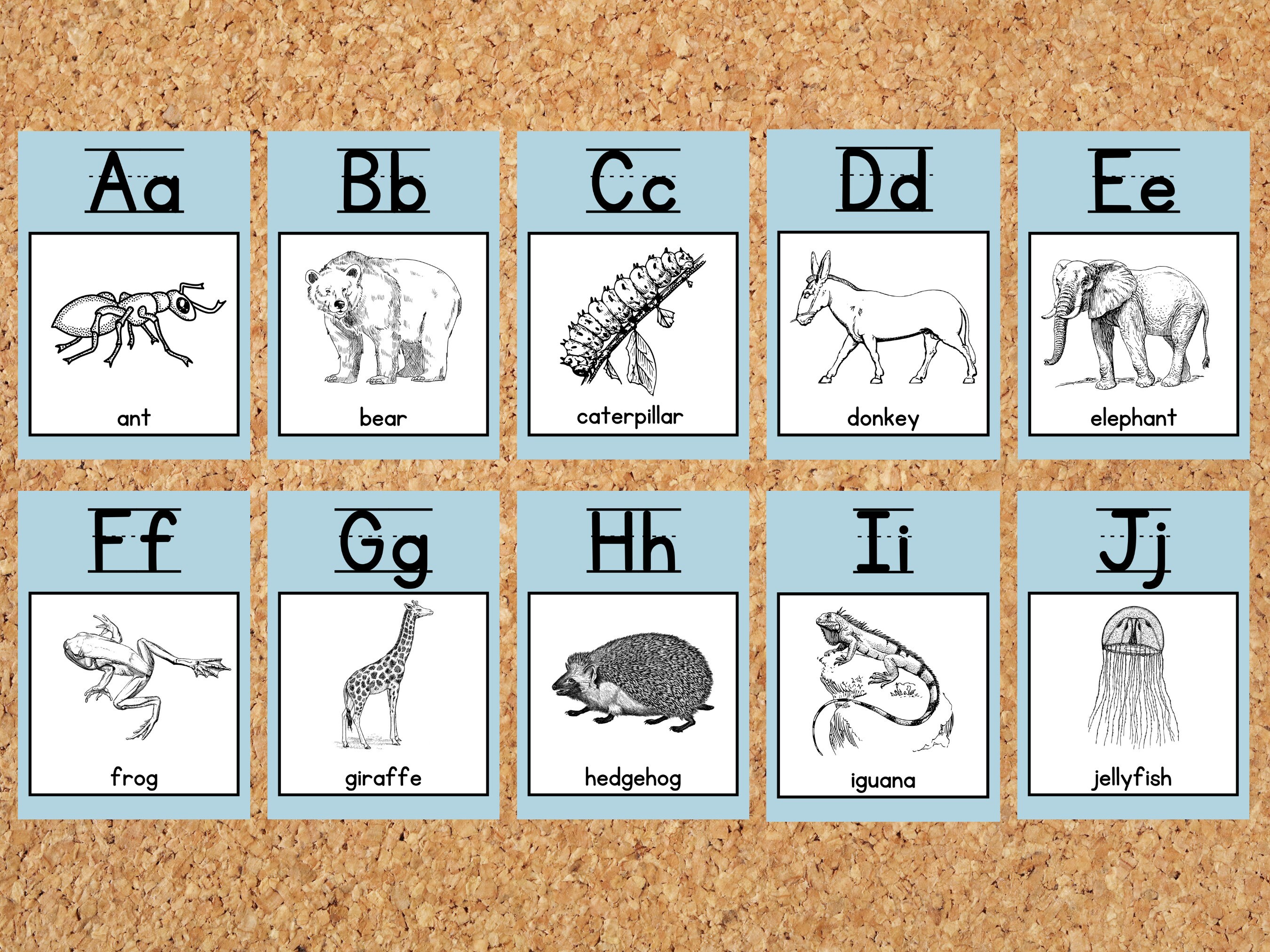 Animal Alphabet Posters | Pastel Colours | Rainbow Colours | Classroom ...