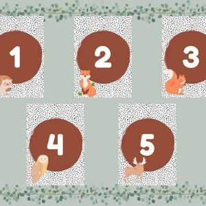 WOODLAND NUMBERS 1-20 | Nature and Woodland Themed Classroom Number ...