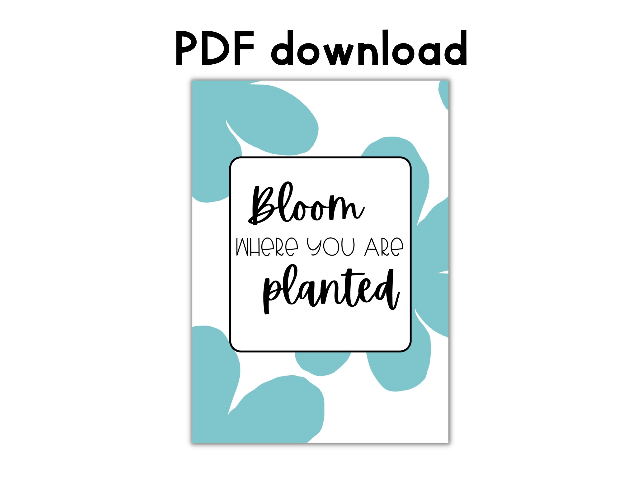 Spring Classroom Posters | Spring Bulletin Board | Elementary Classroom ...