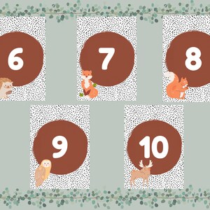WOODLAND NUMBERS 1-20 | Nature and Woodland Themed Classroom Number ...