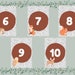 WOODLAND NUMBERS 1-20 | Nature and Woodland Themed Classroom Number ...