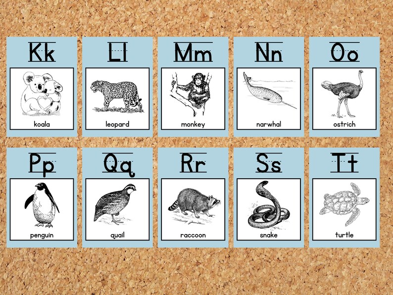 Animal Alphabet Posters | Pastel Colours | Rainbow Colours | Classroom ...