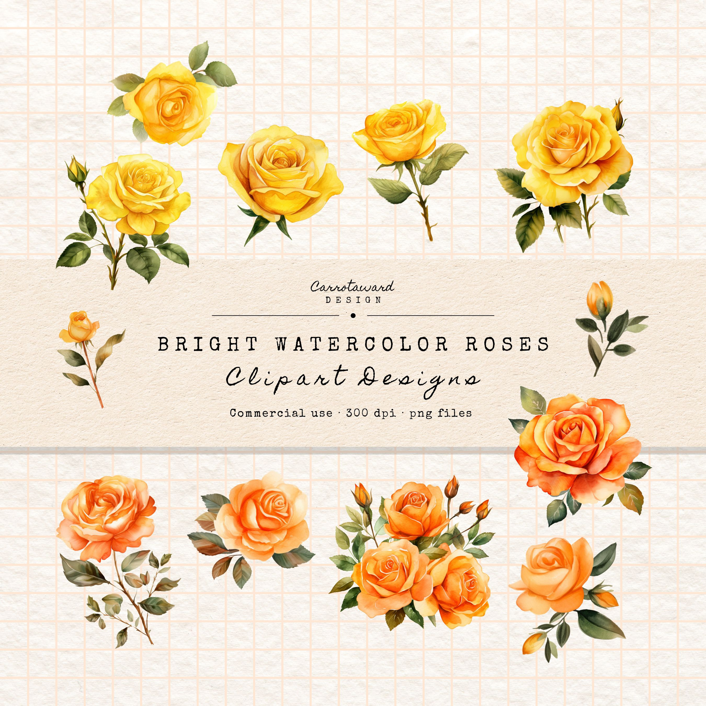 50+ Watercolor Rose Clipart Designs - Yellow and Orange, Digital ...