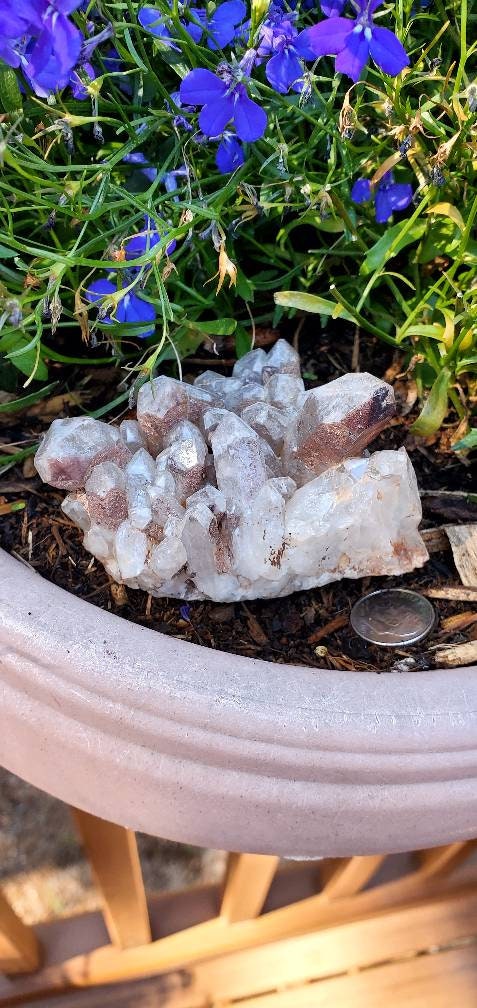 Silver Capped Quartz Cluster. Larimer County, Colorado - Etsy