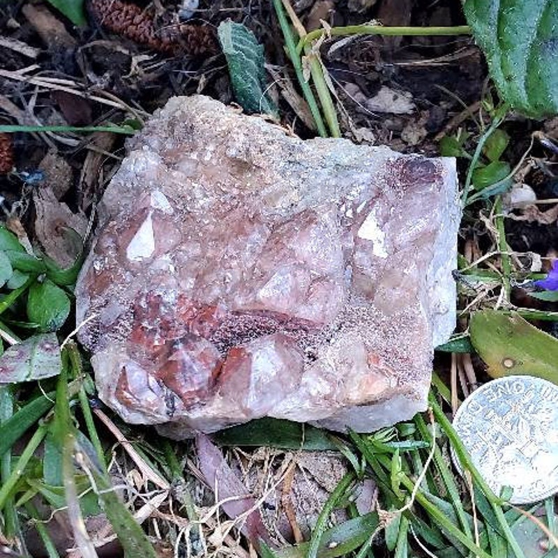 Cactus Quartz - Etsy