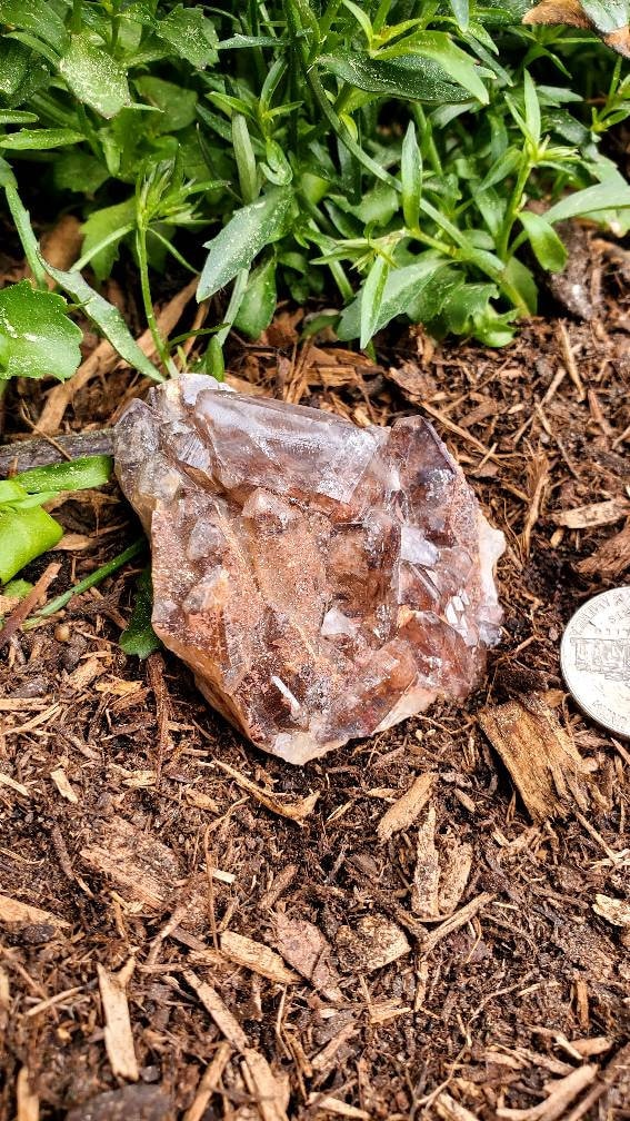 Very Rare Colorado Red Spirit Quartz Cactus Quartz - Etsy