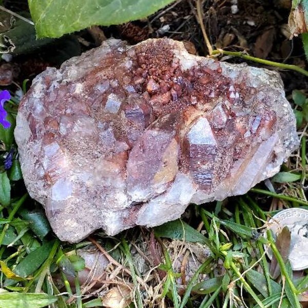 Cactus Quartz - Etsy