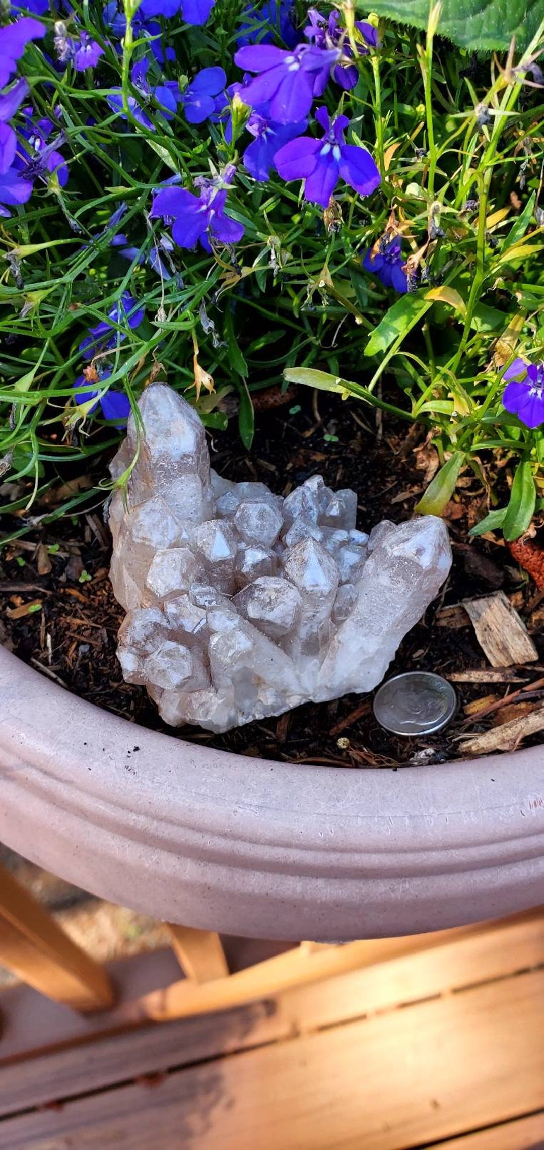 Silver Capped Quartz Cluster. Larimer County, Colorado - Etsy
