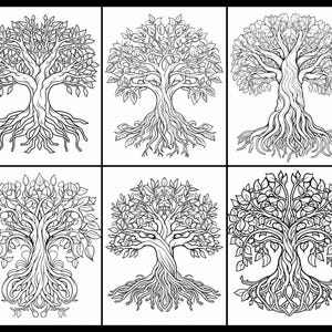 50 Tree Root Coloring Pages, Adult Coloring Pages, Stress Relieve ...
