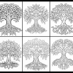 50 Tree Root Coloring Pages, Adult Coloring Pages, Stress Relieve ...