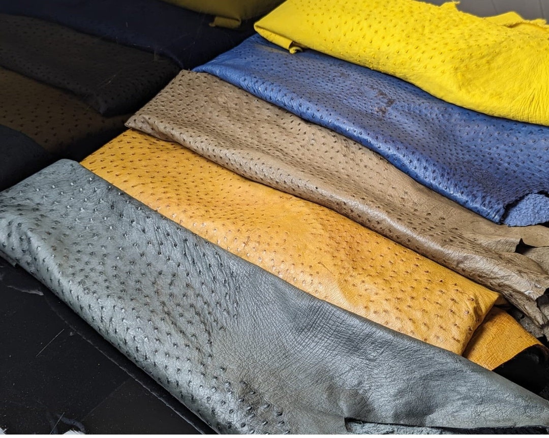 Lot of 10 Genuine Ostrich Hide / Skin / Leather Skin Grade A for ...