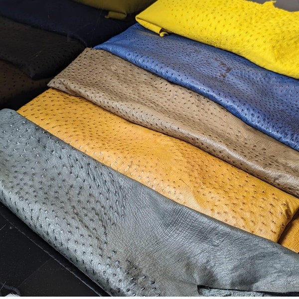 Leather Skin - Etsy