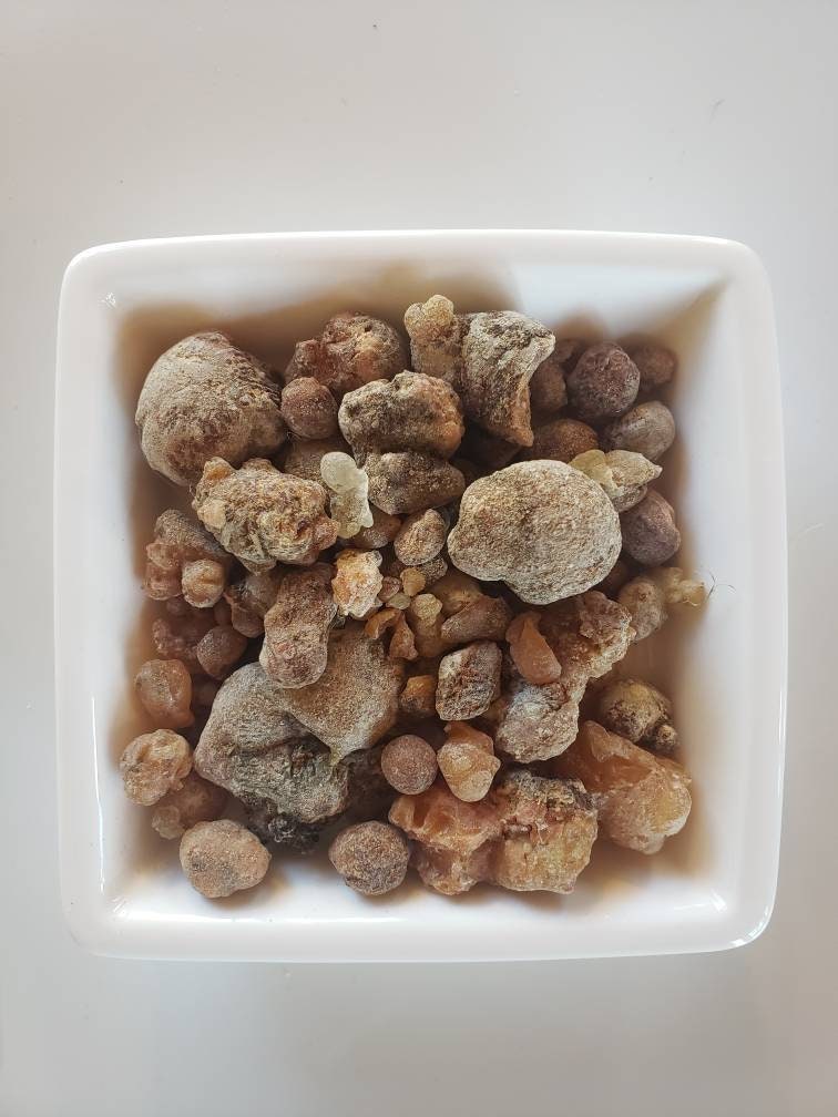 Organic Piñon Salve or Lotion Bar - Etsy