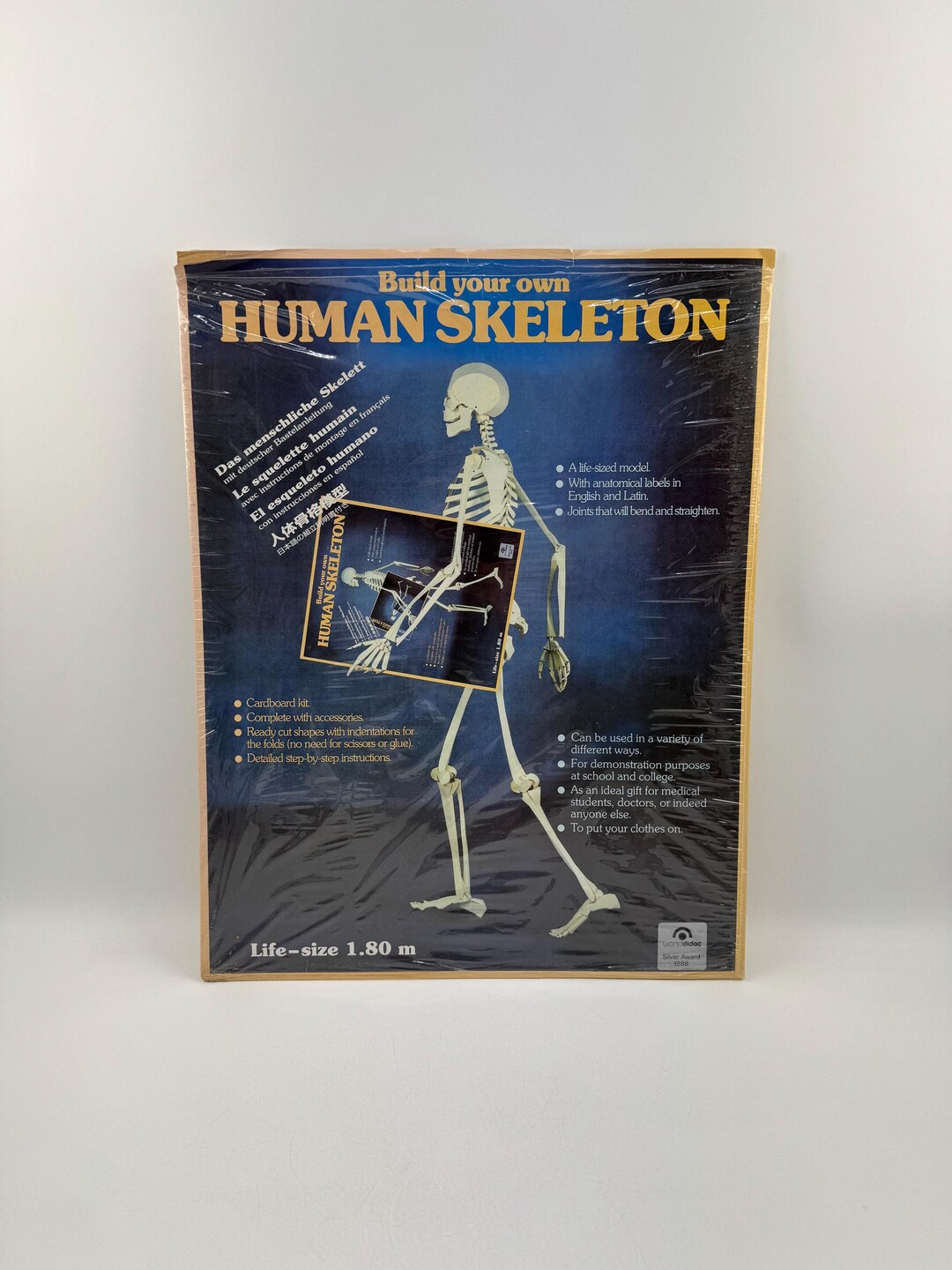 Human Skeleton Construction Kit Life Size - 90s - Etsy
