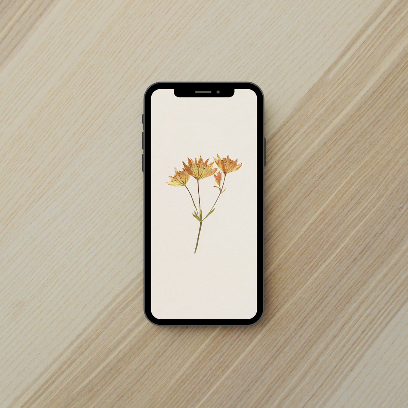 Botanical Phone Wallpaper - Etsy