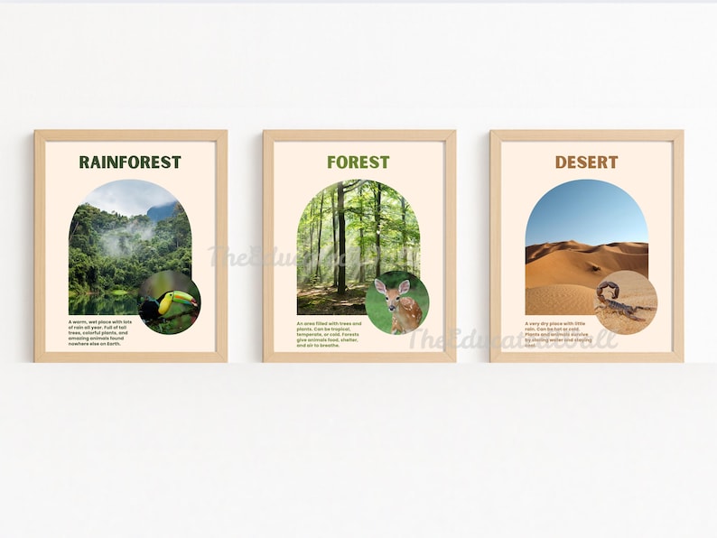 Biome Poster Set, Ecology Science Posters, Geography and Climate ...